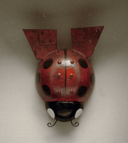 Ladybug Bomb - Nucleus | Art Gallery and Store