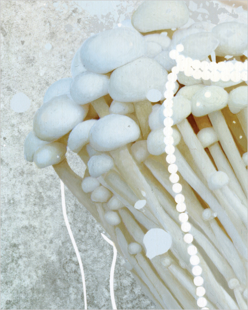 Enoki - Nucleus | Art Gallery and Store