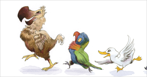 The Caucus Race - Nucleus | Art Gallery and Store