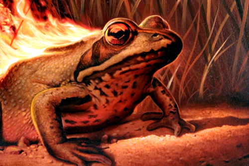 Fire Frog - Nucleus | Art Gallery and Store