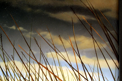 Fire Frog - Nucleus | Art Gallery and Store