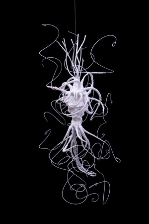 Artist - j.shea - Nucleus | Art Gallery and Store