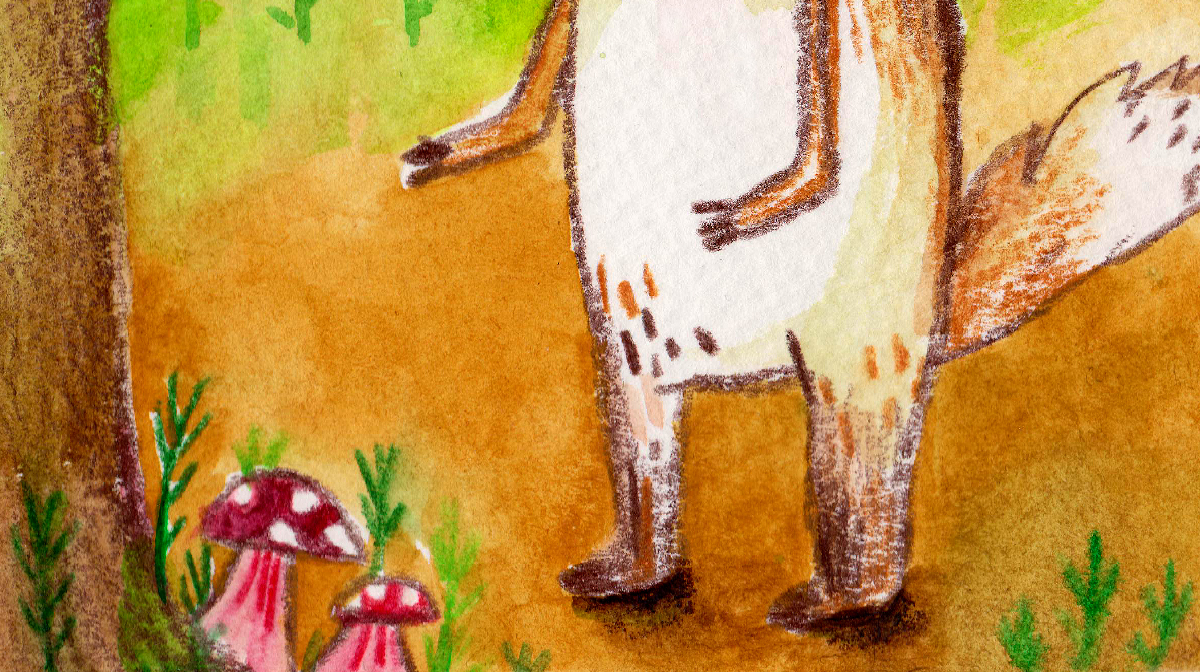 Fox and Snail - Nucleus | Art Gallery and Store