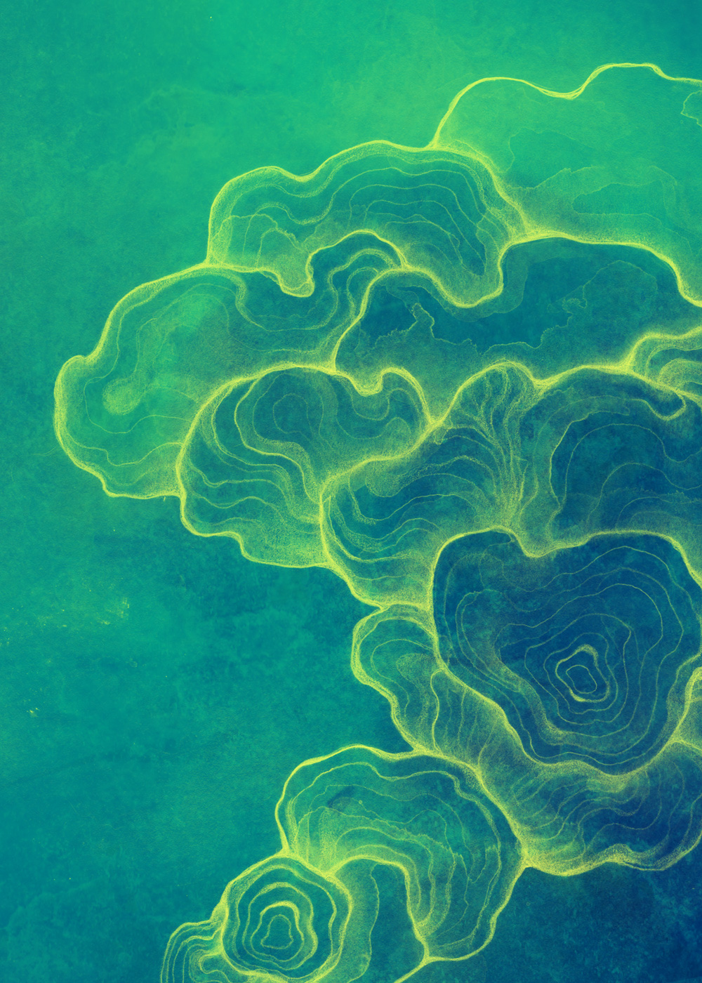 Artist - ZSO - Nucleus | Art Gallery and Store