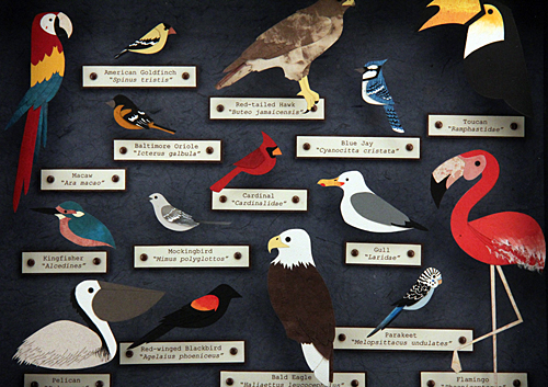 Bird Study - Nucleus | Art Gallery and Store