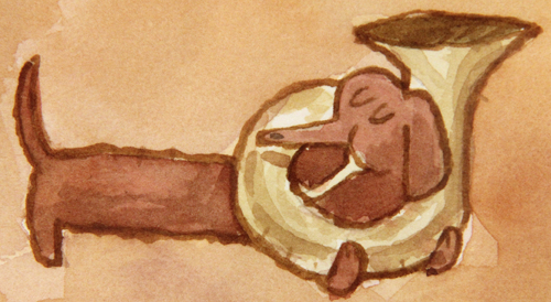 Sousaphone Dog - Nucleus | Art Gallery and Store