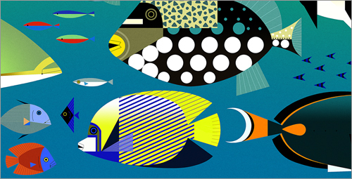 Fish Layout Les Poissons Nucleus Art Gallery And Store