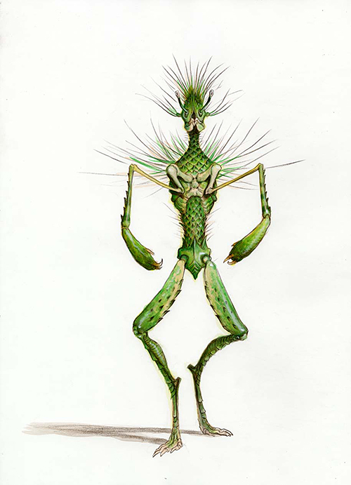 Needleman (D&D Monster Manual II) - Nucleus | Art Gallery and Store