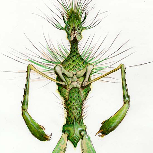 Needleman (D&D Monster Manual II) - Nucleus | Art Gallery and Store