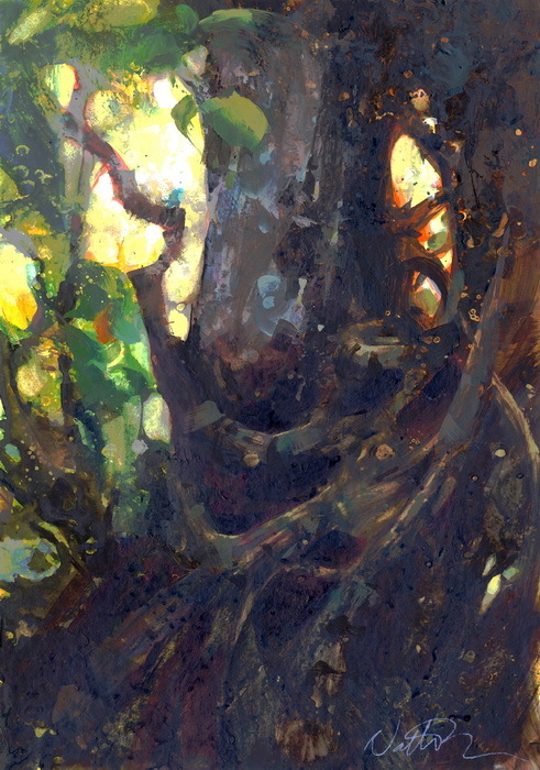 Costa Rican Strangler Fig - Nucleus | Art Gallery and Store