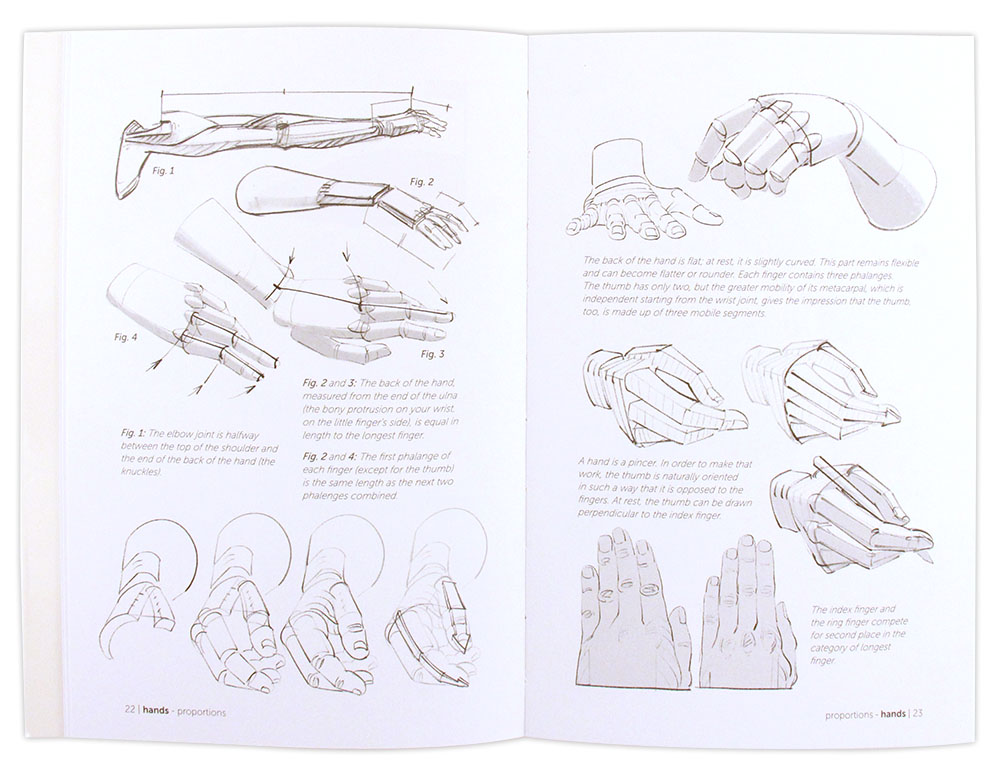 Morpho: Hands and Feet - Nucleus | Art Gallery and Store