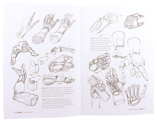 Morpho: Hands and Feet - Nucleus | Art Gallery and Store