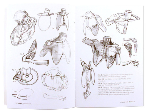 Skeleton Artist Reference Pin By Bob M. Guthrie On Anatomy