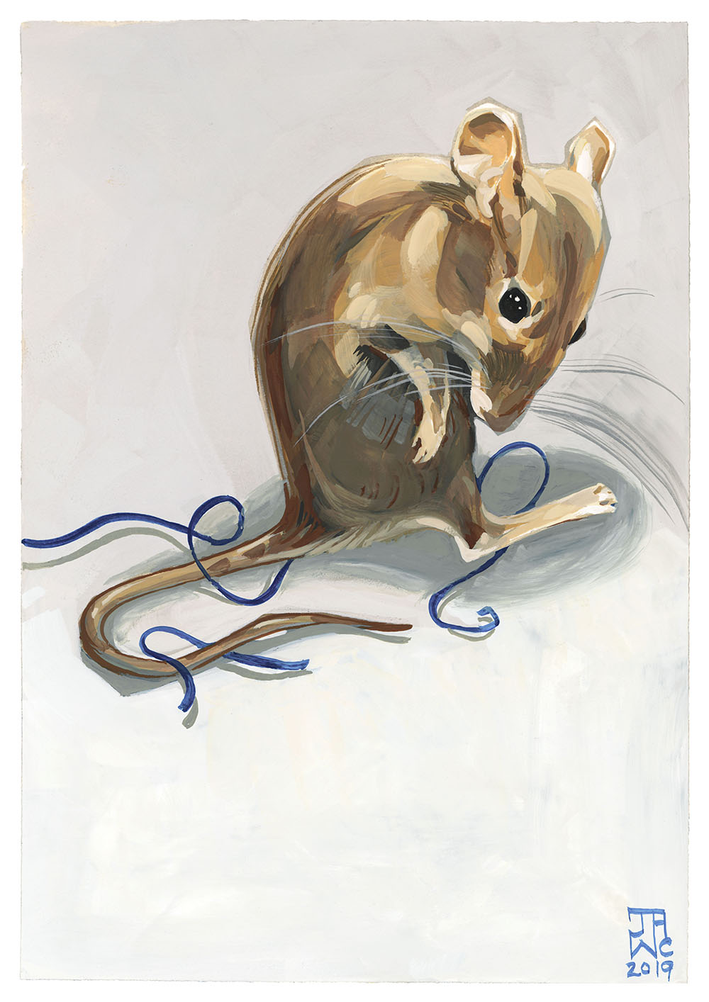 Swiss Mouse - Nucleus | Art Gallery and Store