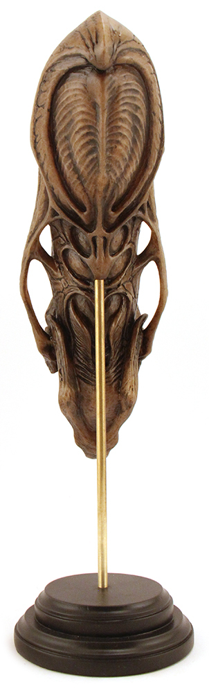 Alien Skull (Brown) - Nucleus | Art Gallery and Store