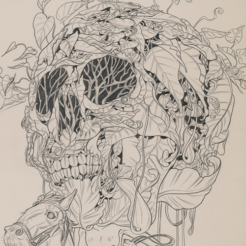 Curious: J.A.W. Cooper Solo Exhibition - Nucleus | Art Gallery and Store