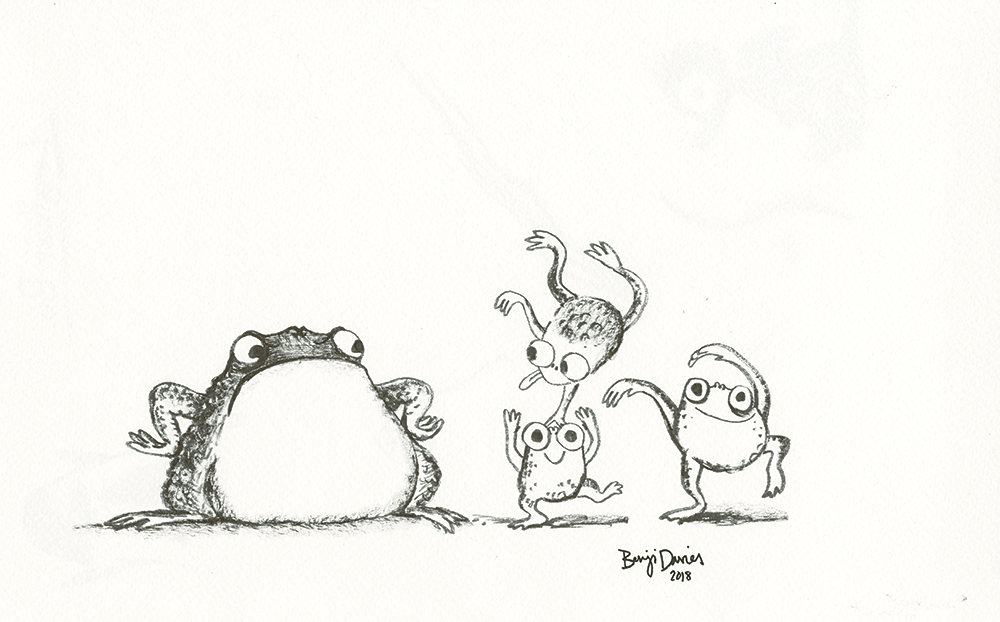 Toad Character Study - Nucleus | Art Gallery and Store